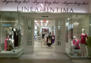 Linea Intima lingerie boutique in Toronto