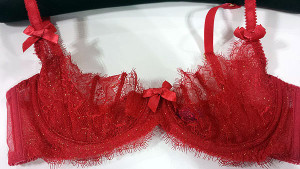 Curvexpo Wrap ~ Part 1 - Lingerie Briefs ~ by Ellen Lewis