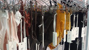 My View ~ CurvExpo NY Part 1 - Lingerie Briefs ~ by Ellen Lewis